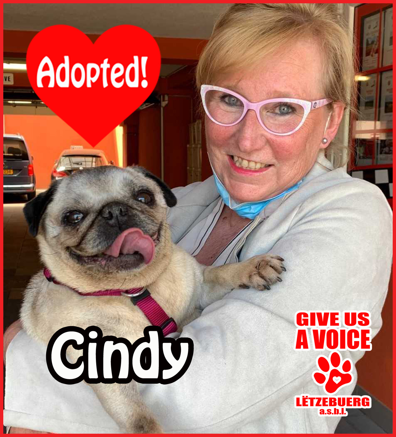 Cindy finally gets her happily ever after! | Give Us A Voice