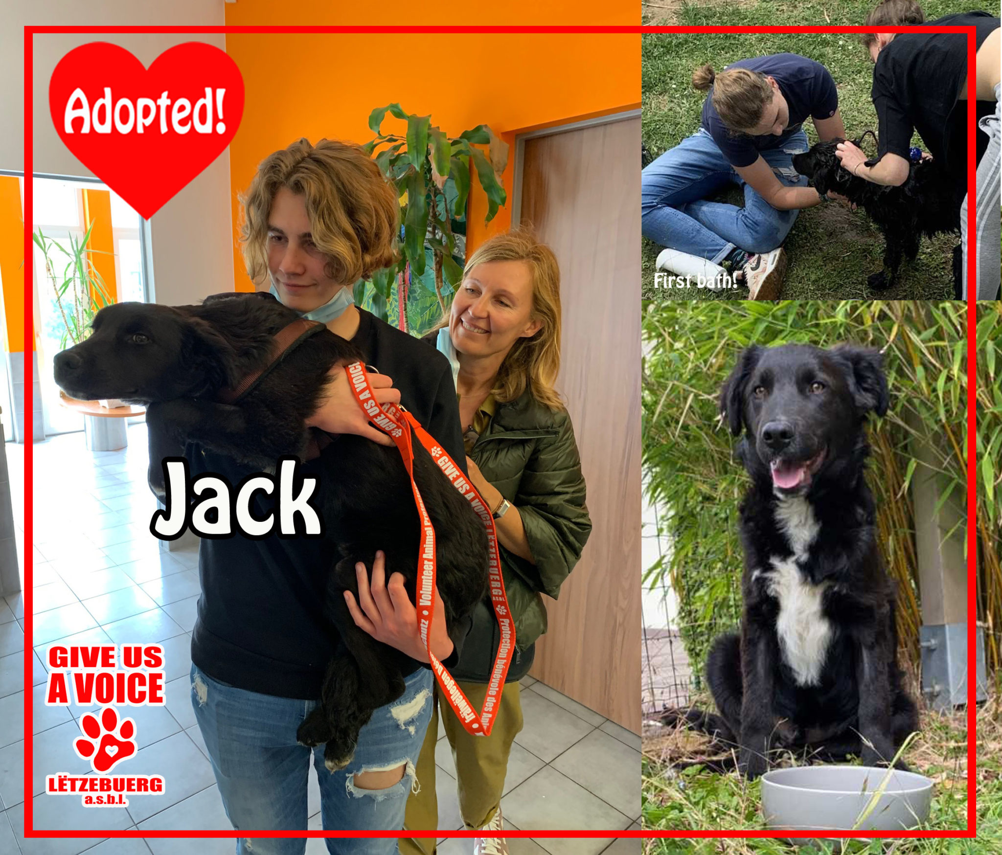 From Bosnia to Luxembourg: Jack’s new life begins! | Give Us A Voice