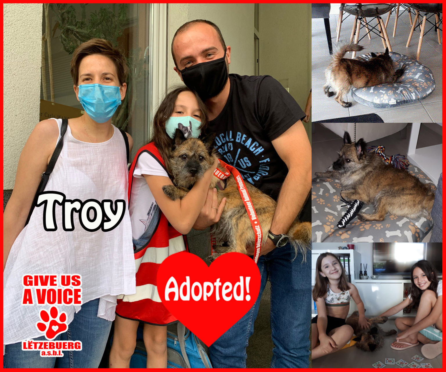 From unwanted to part of the family: Troy finds a home! | Give Us A Voice