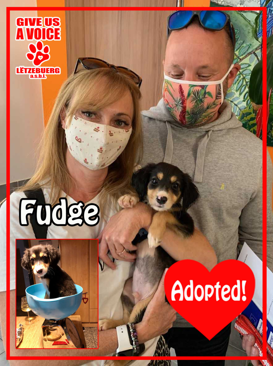 Life is sweet for Fudge! | Give Us A Voice