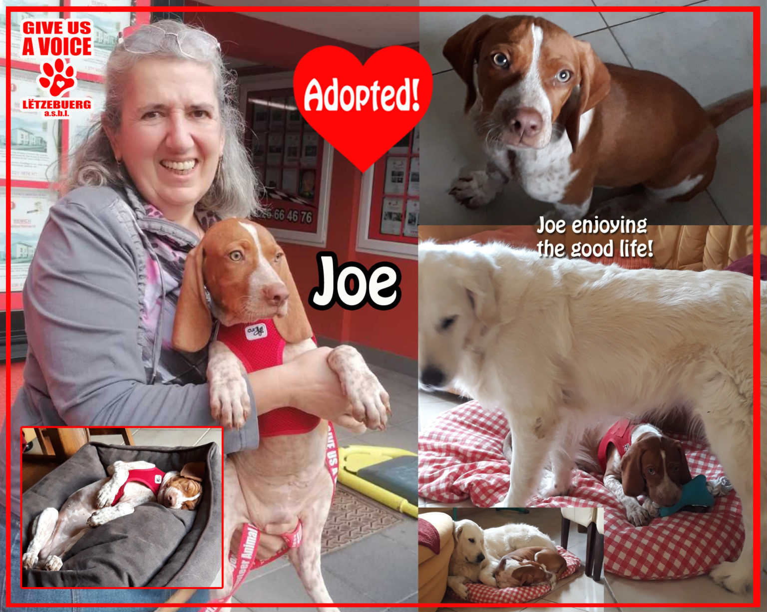 Way to go, Joe! | Give Us A Voice