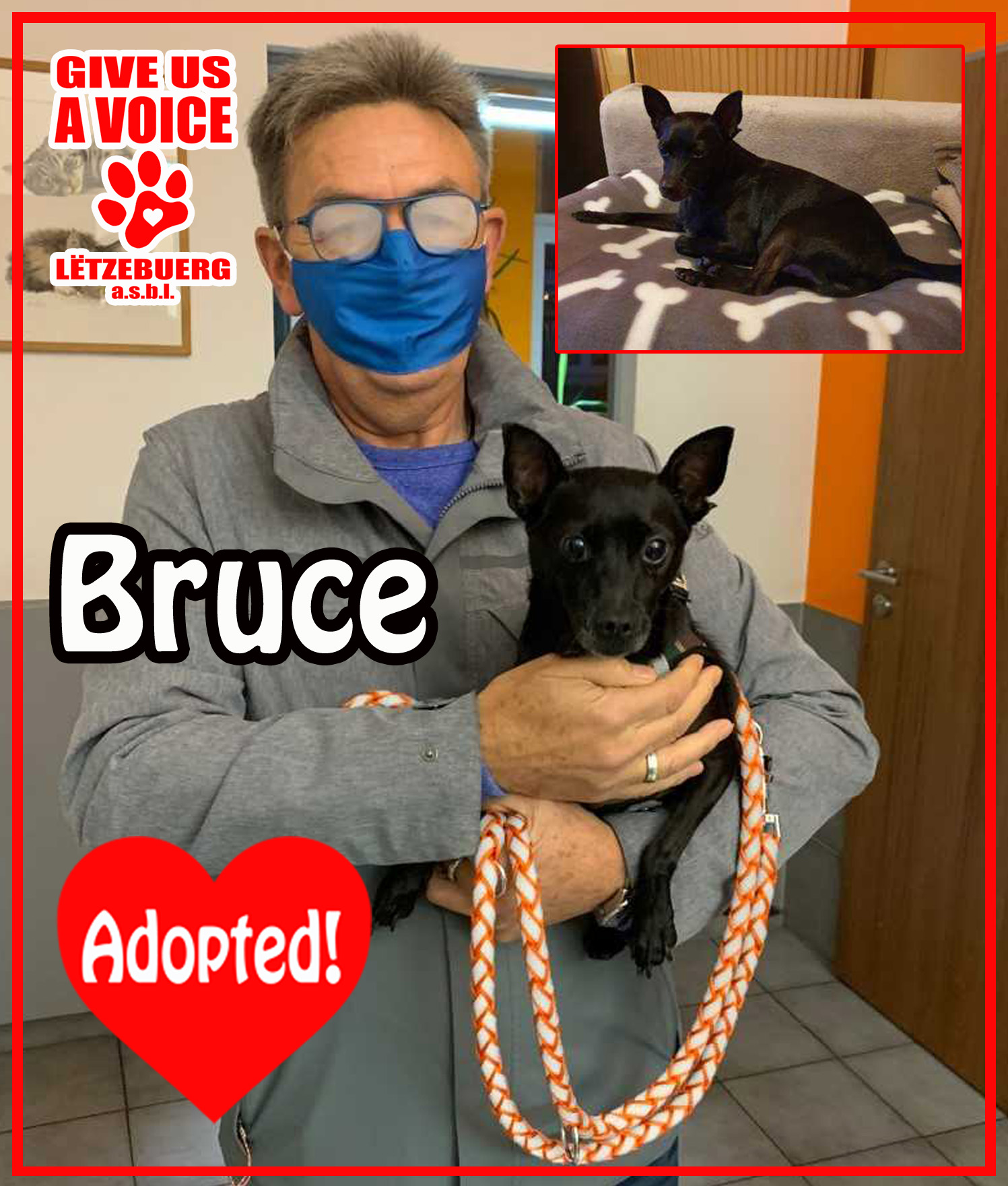 A second chance for Bruce! | Give Us A Voice