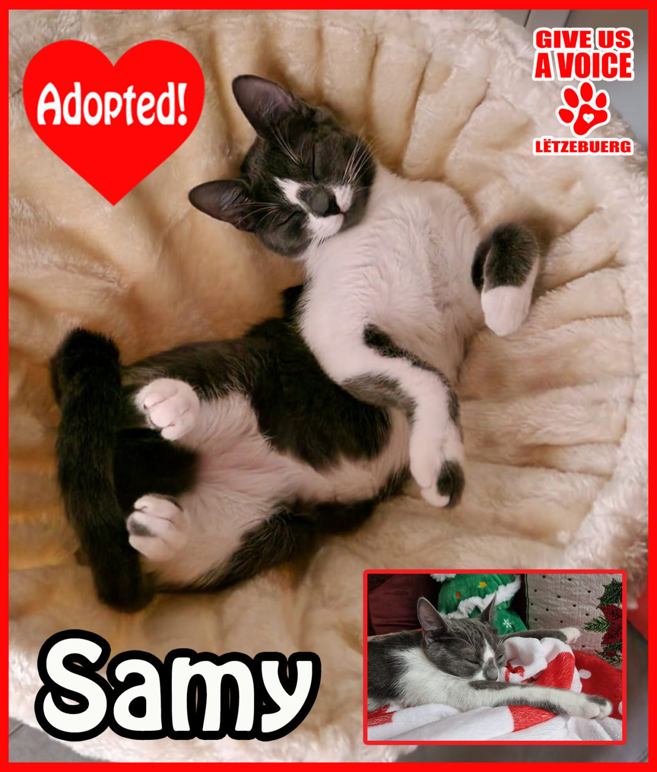 All smiles for Samy! | Give Us A Voice
